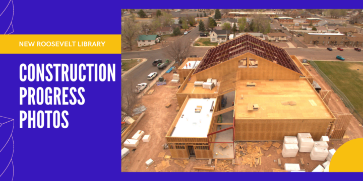 Duchesne Library System